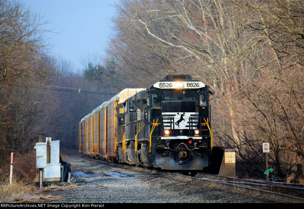 NS 8826 NS Train 212